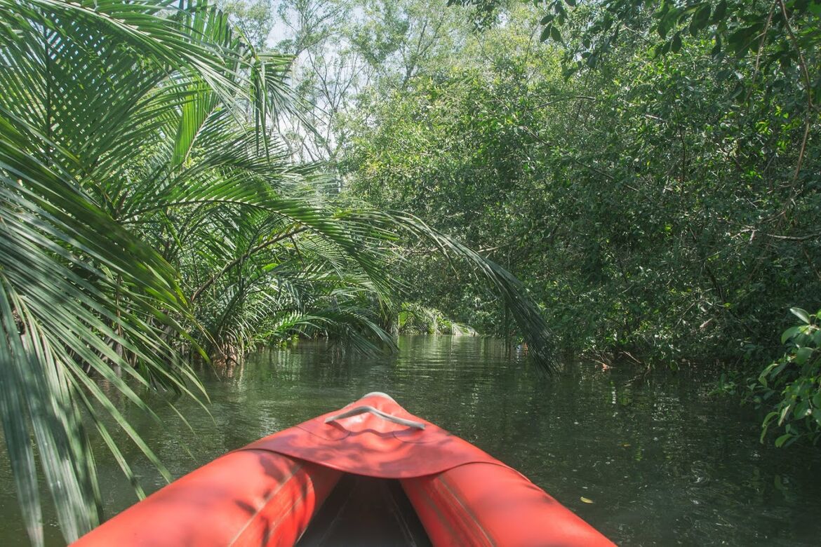 Half Day Kayaking Ao Thalane with Lunch - Go Beyond
