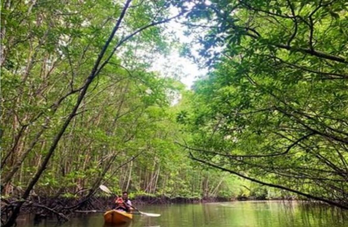 Half Day Kayaking Ao Thalane with Lunch - Go Beyond
